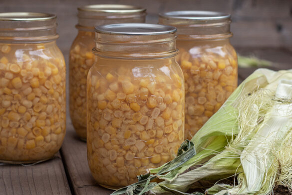 Piments forts déshydratés et broyés – gipsyandy.com